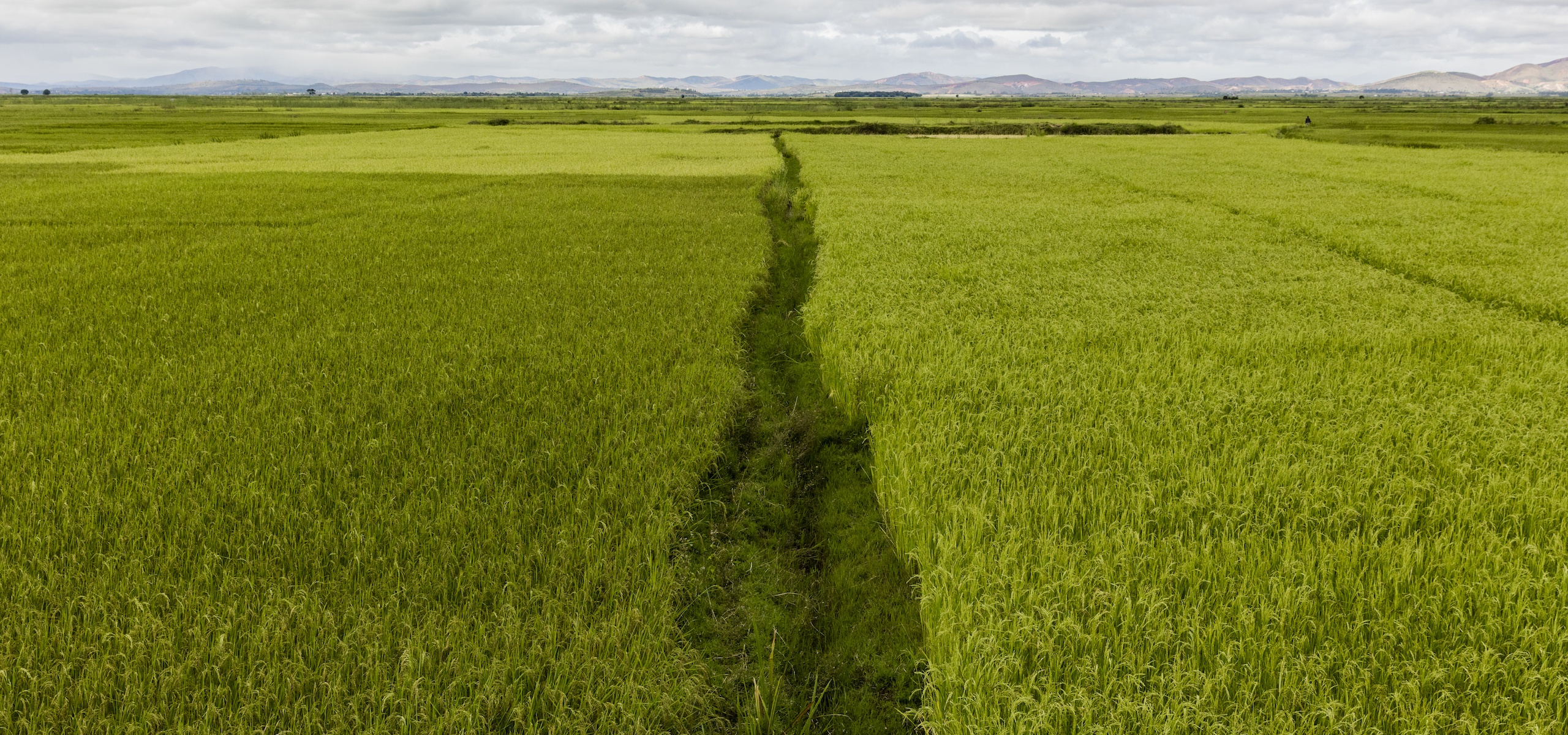 Our Targets | Resources | CGIAR Genebanks