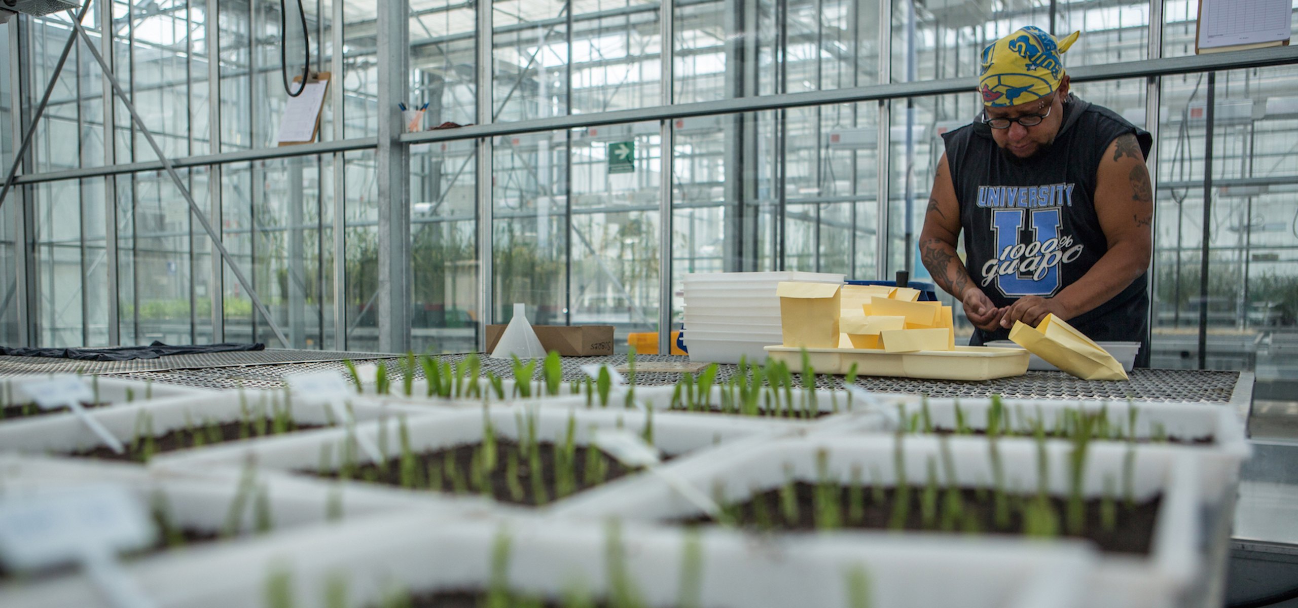 CIAT | Genebanks | CGIAR Genebanks