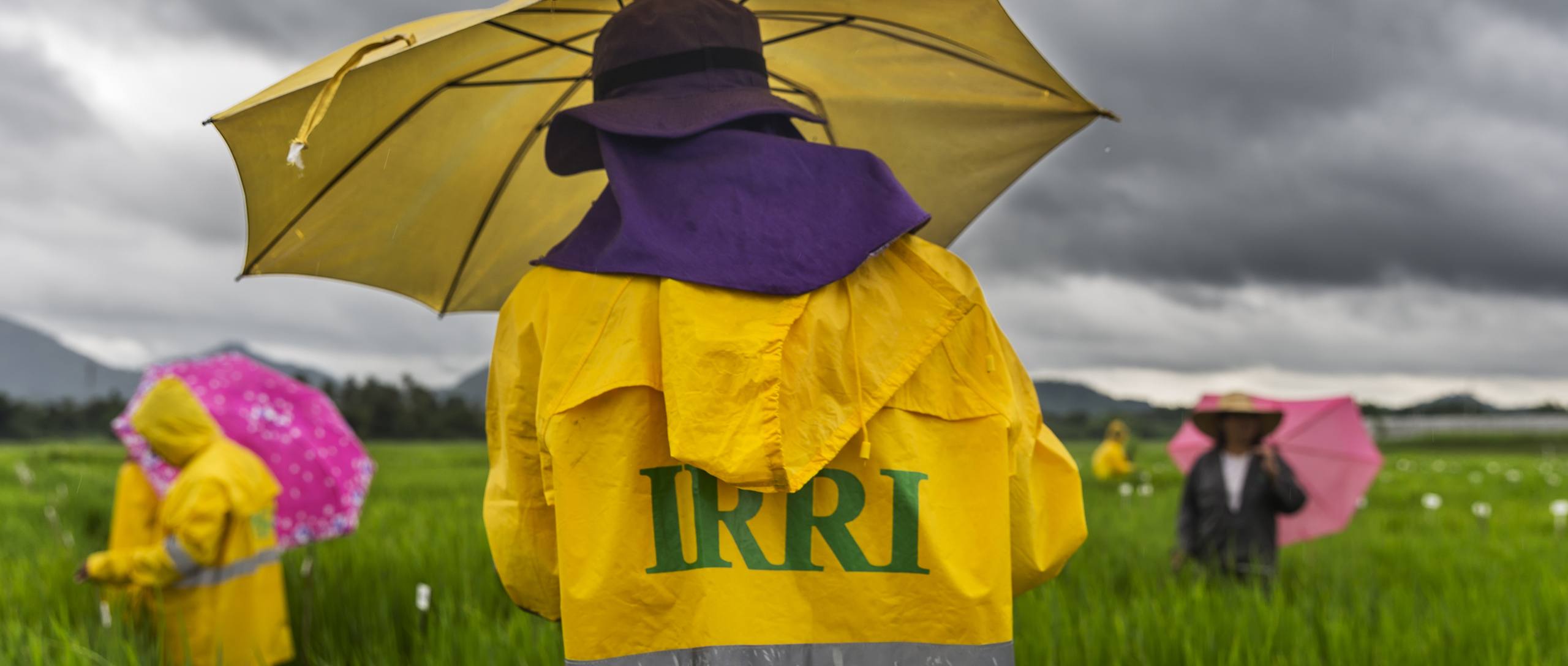 Annual Genebank Manager’s Meeting | News | CGIAR Genebanks