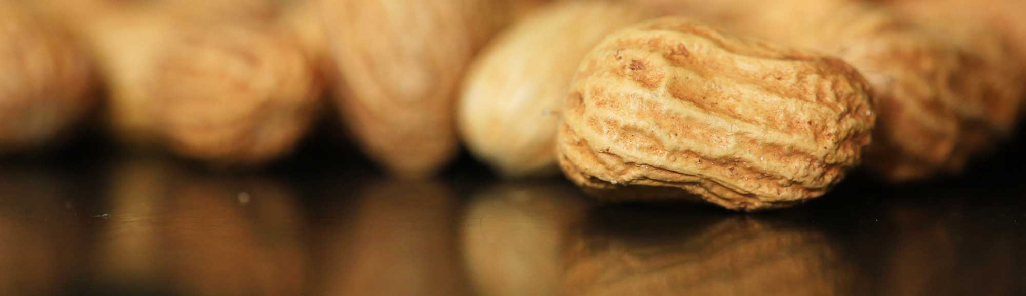 Groundnut | Crops | Resources | CGIAR Genebank Initiative