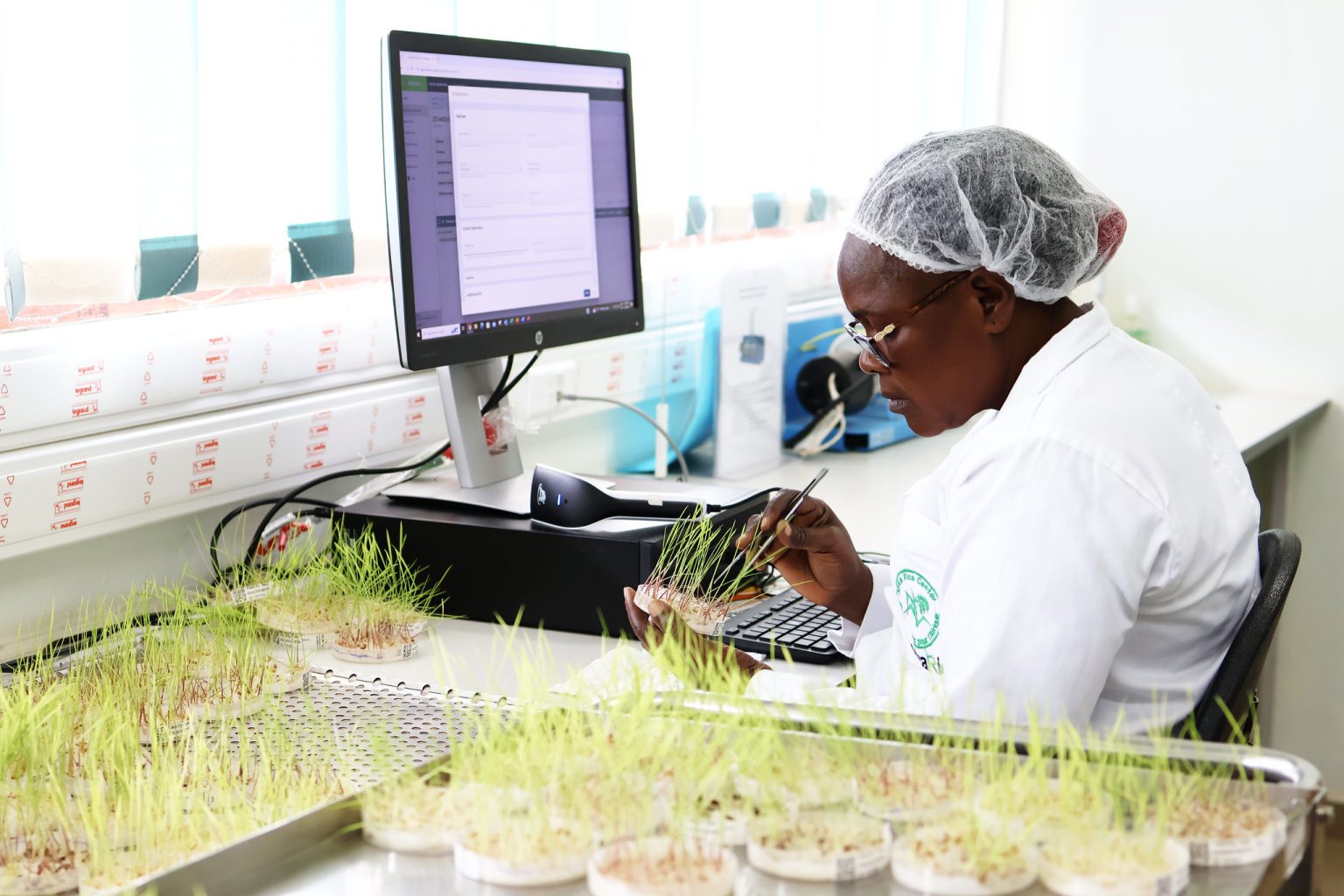 Capacity Building Resources | Resources | CGIAR Genebanks